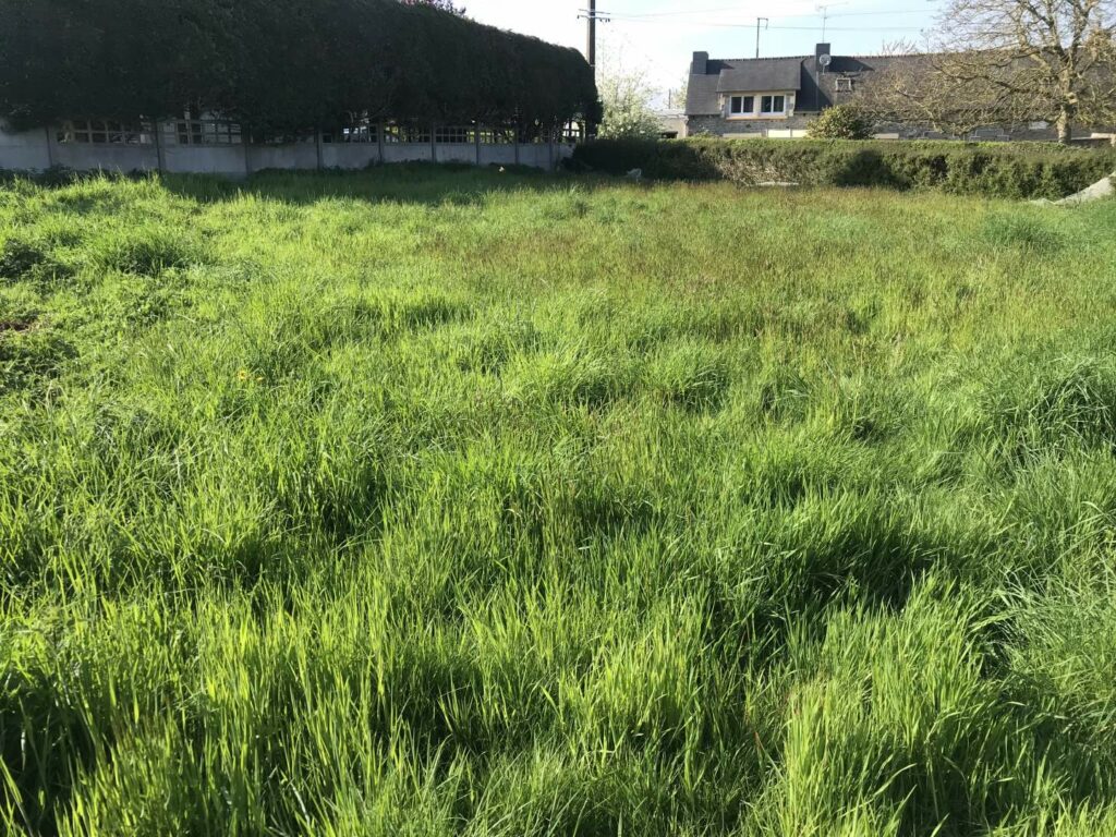 Notaire à Saint Brieuc : Services et Équipe - Notalex